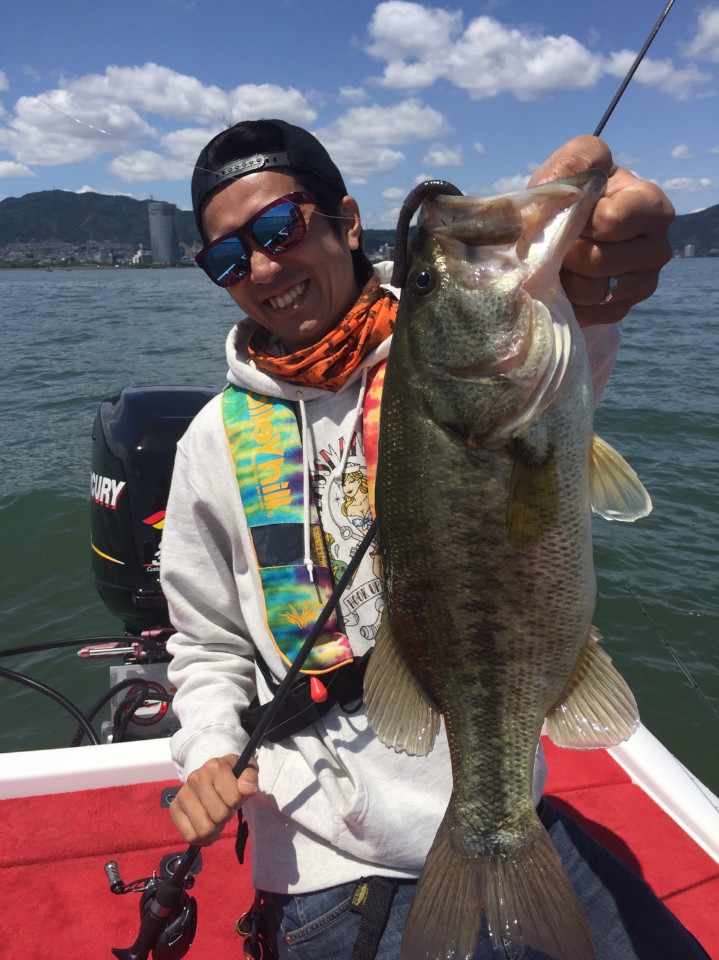 BackLash Boat Cup – Lure&Boat BackLash Japan