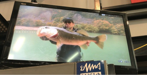 BALAM 300 – Lure&Boat BackLash Japan