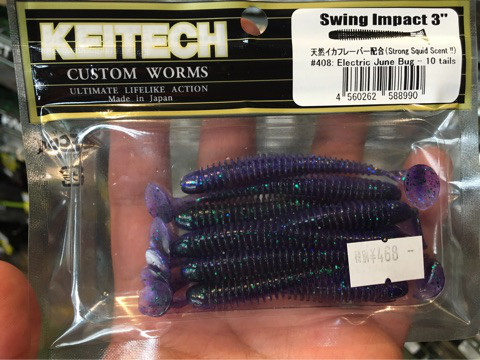 Original color / BackLash Staff Hashimoto – Lure&Boat BackLash Japan