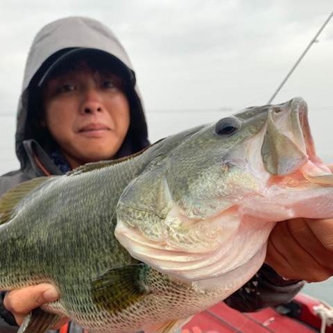 REVIVAL SHAD / SUPAKU ?? – Lure&Boat BackLash Japan