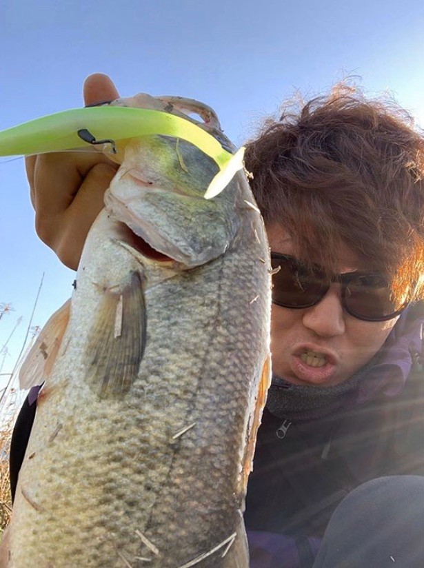 KINOKUNI-LEMMON – Lure&Boat BackLash Japan