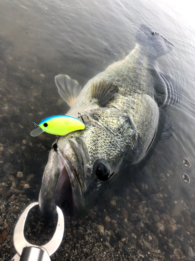 OSP / BLITS MAX – Lure&Boat BackLash Japan